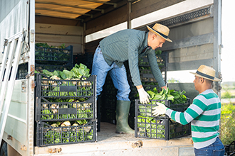 Manual handling training not an effective control | WorkSafe