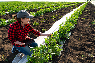 New Restricted Entry Intervals For Pesticides | Mirage News