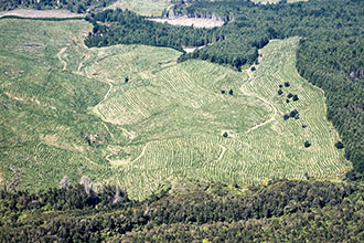 WorkSafe sets new direction to strengthen health and safety at work ...