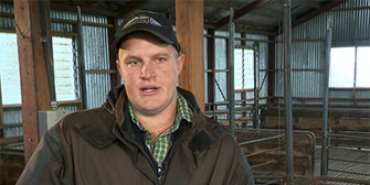 Alex Field | WorkSafe