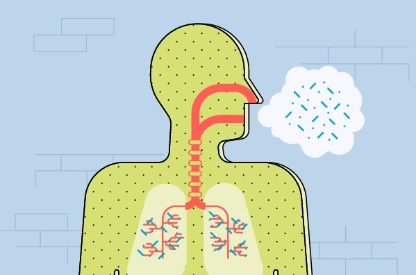More must be done to manage asbestos risks | WorkSafe More must be done to manage asbestos risks | WorkSafe